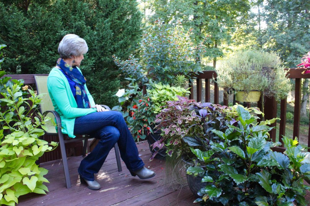 She's the Mayor's Wife . . . and the Secret Gardener of Travelers Rest