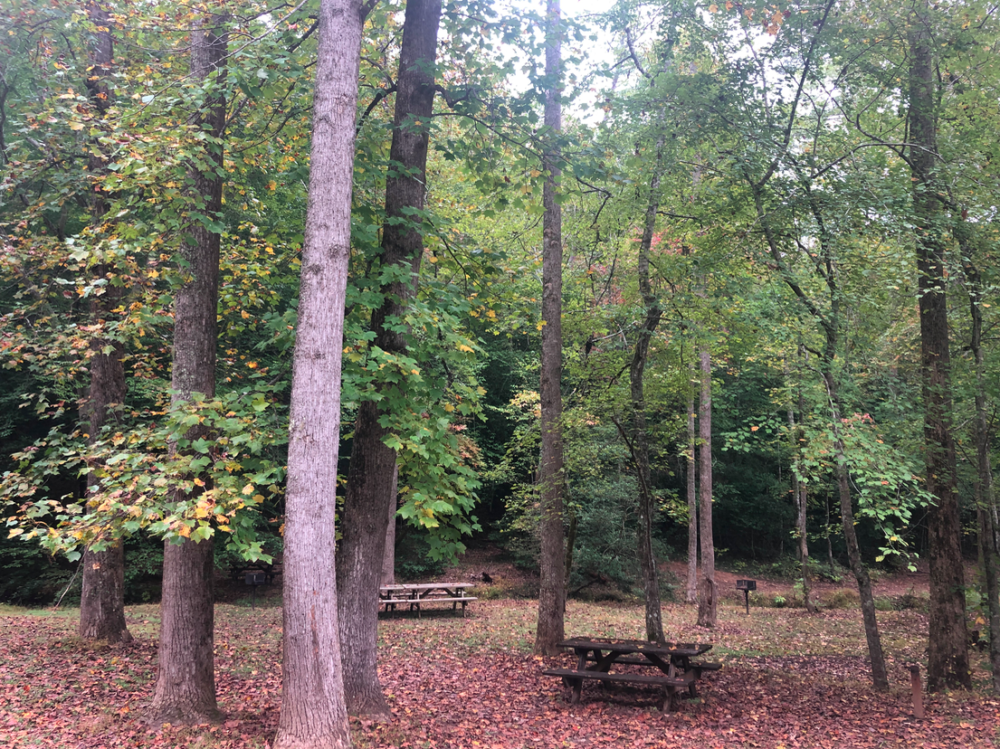 Pleasant Ridge Park: Refuge and Recreation for Our Community ...